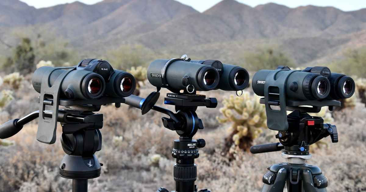 Swarovski NL Pure: New Binos Redefine Ergonomic Standard